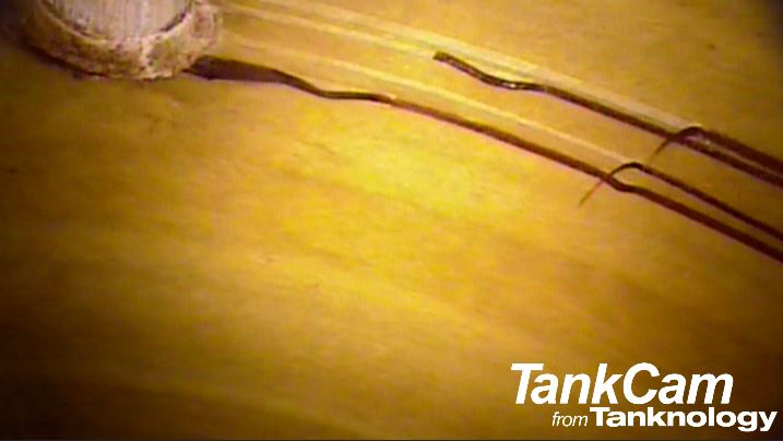 Tank Trouble Tuesday - Tanknology